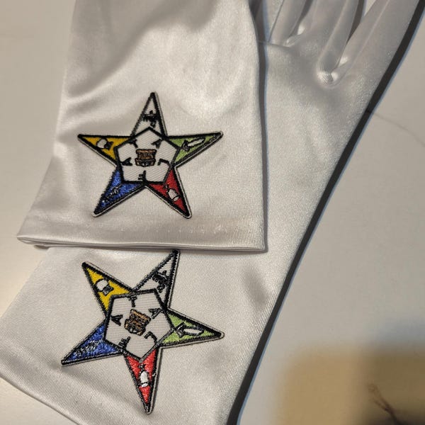 Shrine Past Potentate Lapel Pin - Etsy