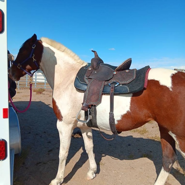 Western Barrel Racing Pleasure Trail Deep Seat Premium Leather Horse ...