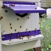 Beehive Rain and Snow Visor | Awning for Beehive | Snow and Rain ...