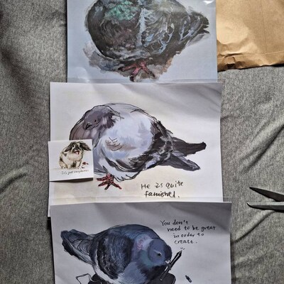 Famished Lad Pigeon Postcard/print/sticker - Etsy