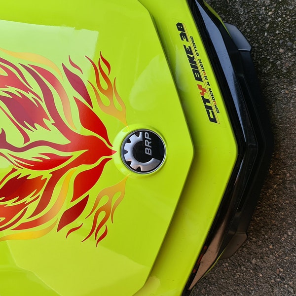 Decal Sticker Phoenix Rising From the Fire Flamed Fantasy Easy Rider ...