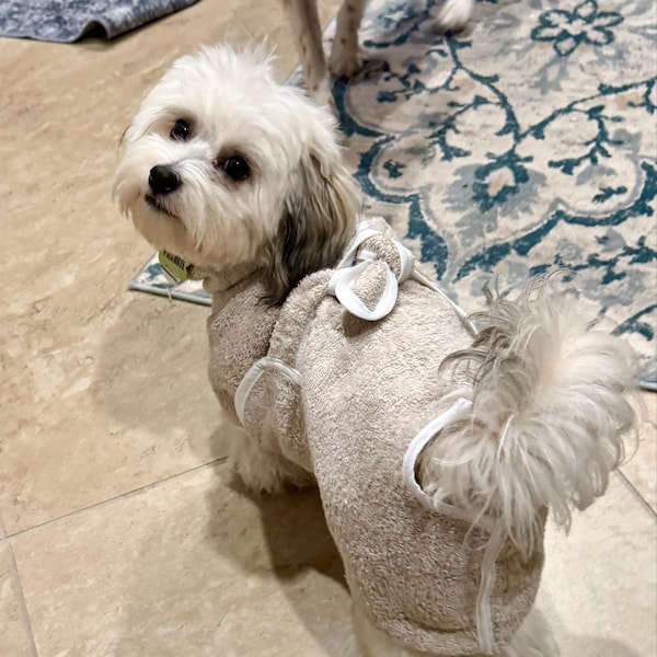 Comfortable Full Body Dog Suit, Overall for Dogs, Waterproof ...