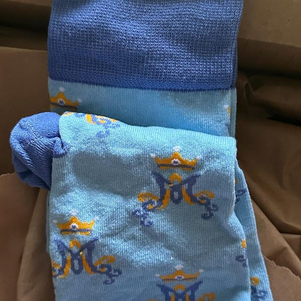 Saintly Creatures: 14 Tales of Animals and Their Holy Companions - Etsy