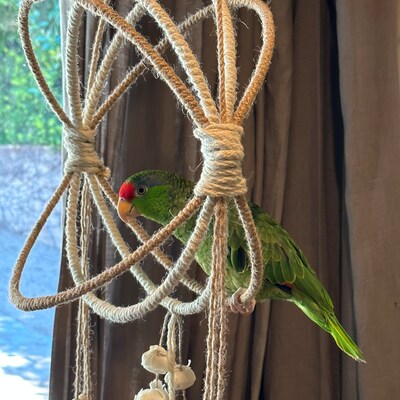 14 Hanging Bird Swing 100% Cotton and Jute Rope - Etsy