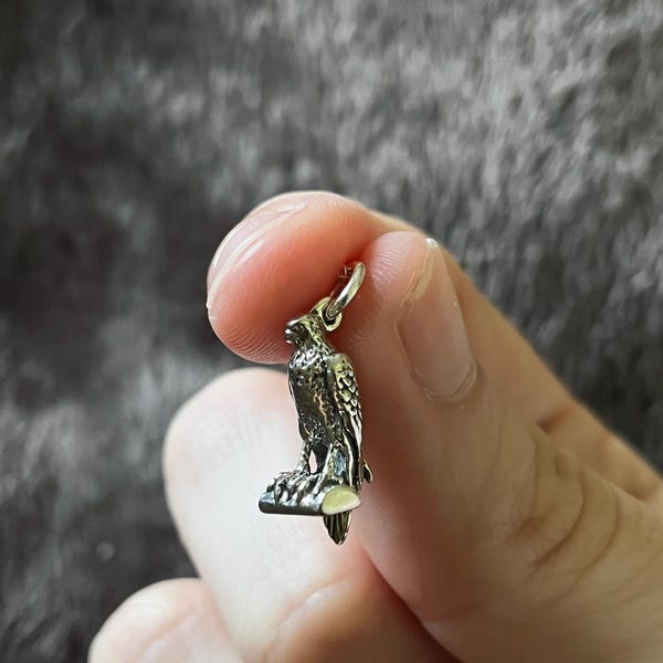 Silver Opossum Necklace - Sterling Silver Opossum Charm on a Delicate ...