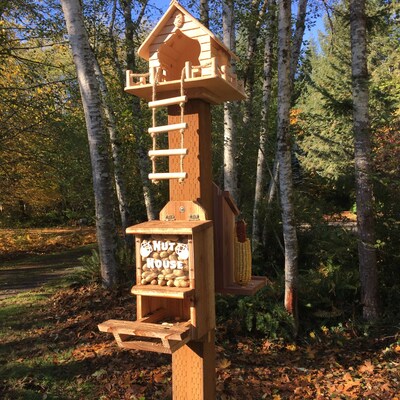 Beautiful Squirrel Feeder, Wooden Garden Decore, Personalized Squirrel ...