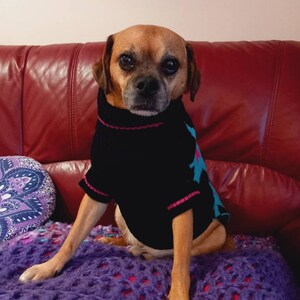 Inca Blue Dog Harness - Etsy