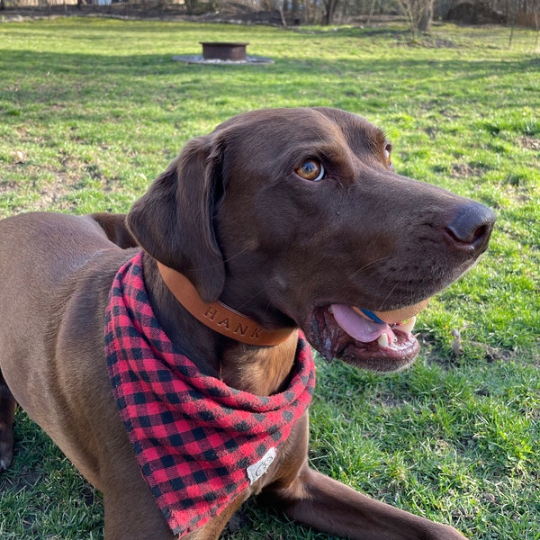 Handmade Dog Collar | Leather Dog Collar for Large or Small Dogs | Pet ...