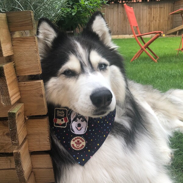Husky Dog Iron-on Patch: Embroidered Applique (41x60mm) - Etsy