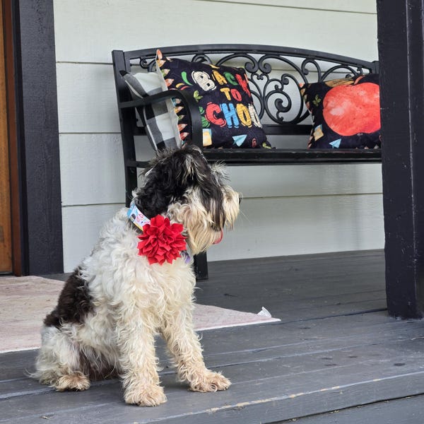 Reindeer Dog Collar Embellishment, Christmas Dog Collar Accessory ...