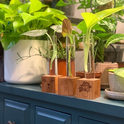 Solid Oak 3 Tube Plant Propagation Station - Etsy