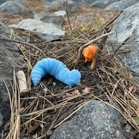 The Rock Fidget Slug - Etsy