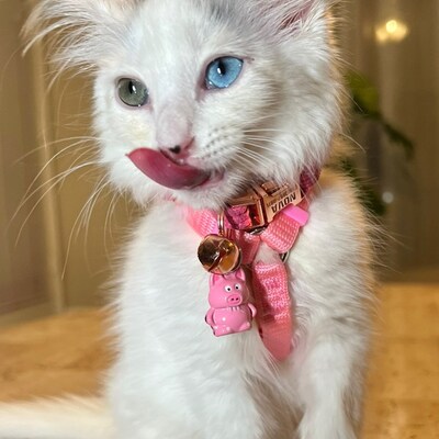 Cat Bells Special Character Jingle Bells Cat Collar Bells - Etsy