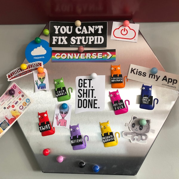 What A Crock of Shit Fridge Magnet Sweary Rainbow Cats Fridge Magnet ...