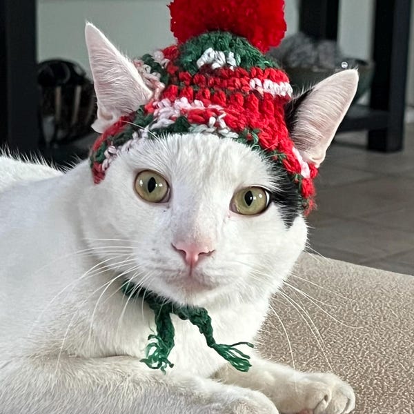 Elf Hat for Cats, Cat Elf Hat, Holiday Cat Hat, Christmas Hat for Cats ...
