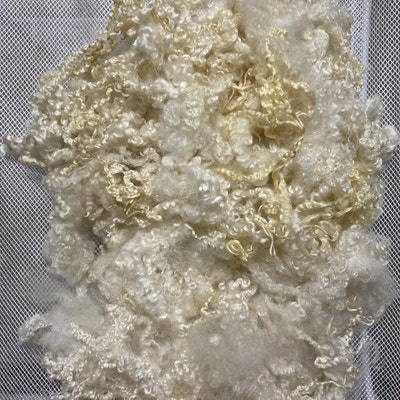 Raw Wool Lincoln Longwools Natural Colored - Etsy