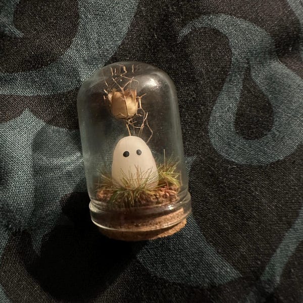 Adopt a Glowing Ghost in Glass Dome,spooky Gift,handmade Pet Ghost - Etsy