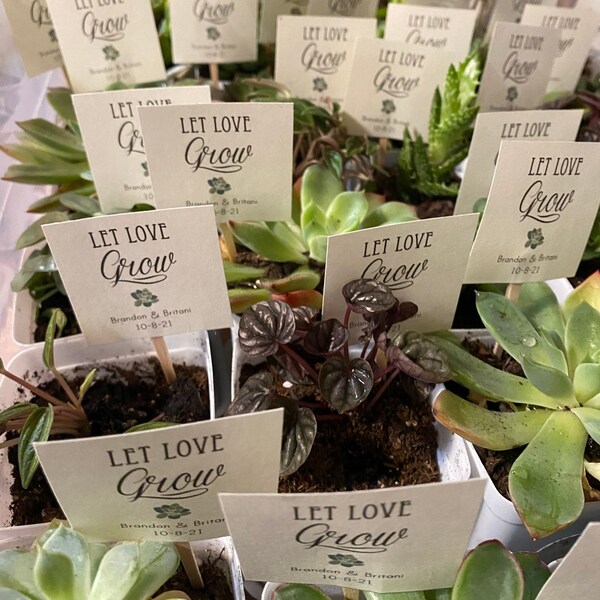 CUSTOMIZABLE Let Love Grow Tags | Wedding Succulent Favor Tags | Bridal ...