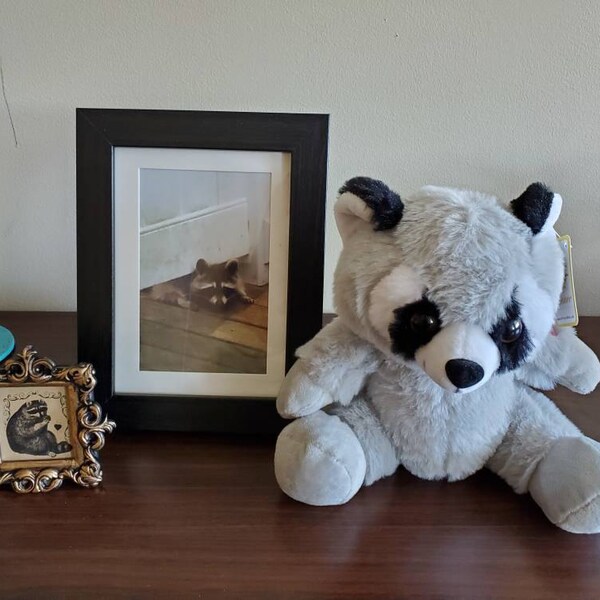 Raccoon Print in Baroque Frame Vintage Style Art in Mini Baroque Frame ...