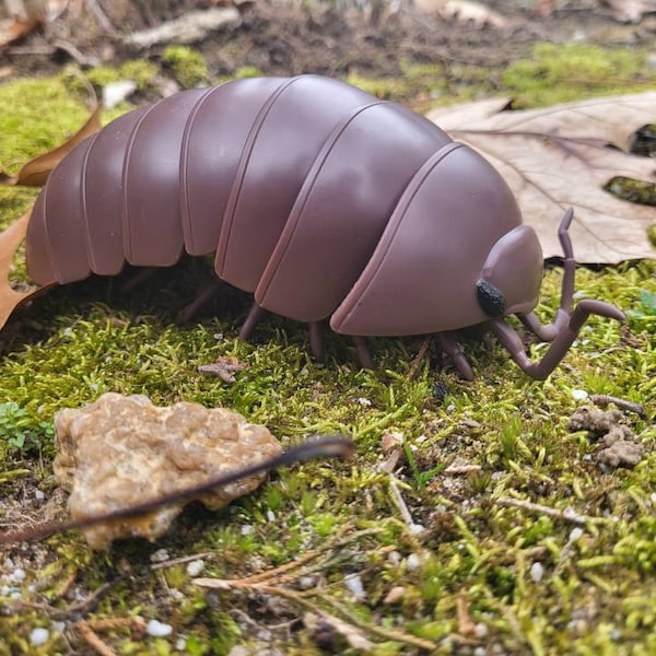 Dangomushi - Isopod, Woodlouse, Pillbug Figures! Various Options ...