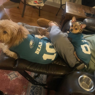 Barcelona Personalised Pet Tank Top FC 23/24 With Original FC Logo dog ...