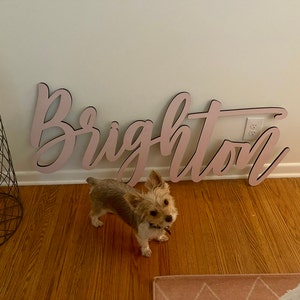 Large Name Sign for Wall Baby Name Cutout for Nursery Big Name - Etsy