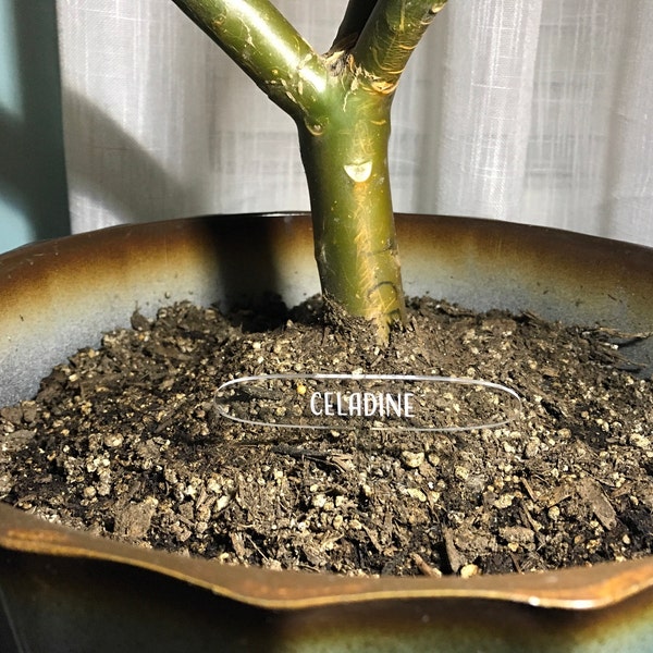 Set of 3 Plant Tags, Custom Plant Tags, Plant Labels, Acrylic Plant ...