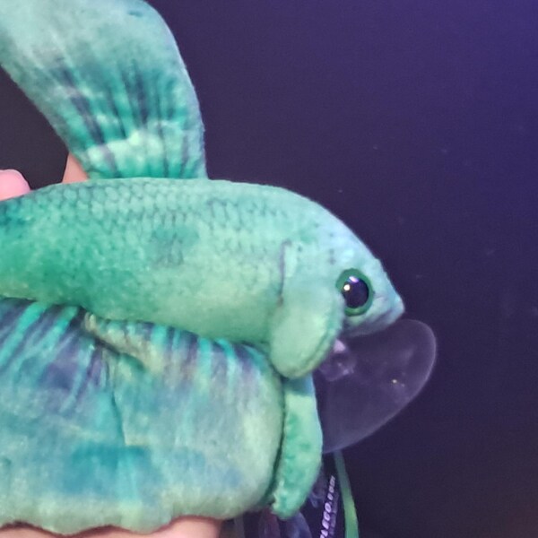 Goldfish Plush (12 Inch) - Etsy