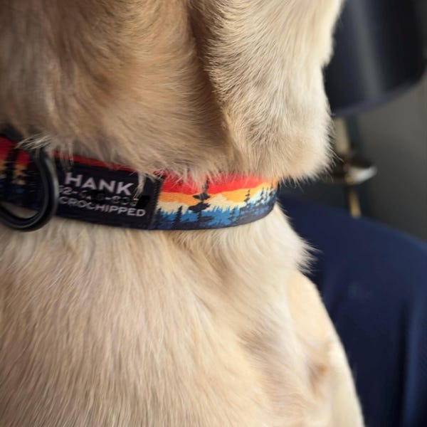 Treeline Dog Collar - Trees | Forest | Nature | Outdoors - Etsy