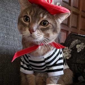 Complete French Cat Outfit Cat Beret, Ascot and Striped Shirt Pet ...