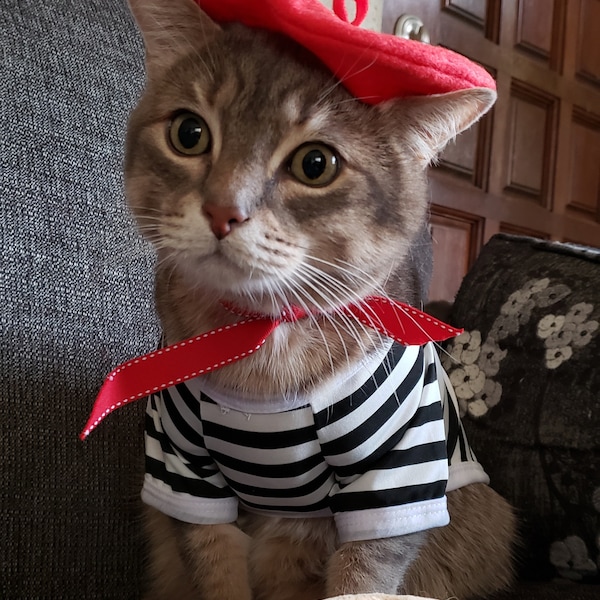 Complete French Cat Outfit Cat Beret, Ascot and Striped Shirt Pet ...