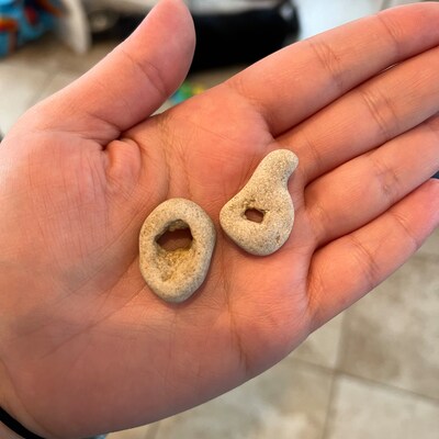 Beautiful Dinosaur Gembone Cabochon Fossil Jewelry Supply Genuine ...