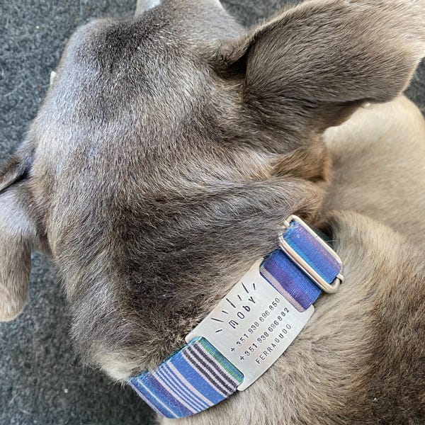 Custom Horse Halter Name Plate Brass Halter Name Tag Custom Equestrian ...