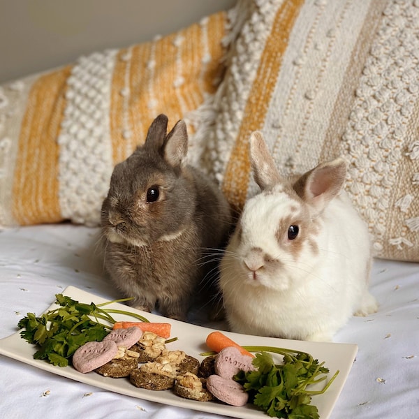 Bunny O's Cereal Treat, Rabbit Fruit Loops Inspired Treat, Small Animal ...