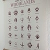 Animal Tracks Print, Woodland Animal Prints Poster, Woodland Nursery ...