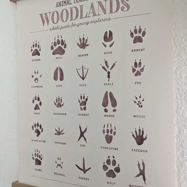 Animal Tracks Print, Woodland Animal Prints Poster, Woodland Nursery ...