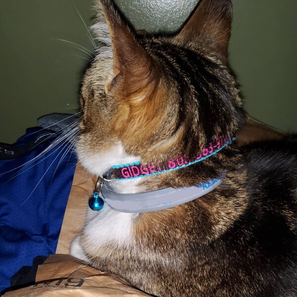 Custom Eco Friendly Brown/light Blue Breakaway Cat Collar W/bell - Etsy