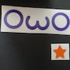 Owo Decal, Emoticon Meme Laptop Sticker, Furry Fandom Car Window ...