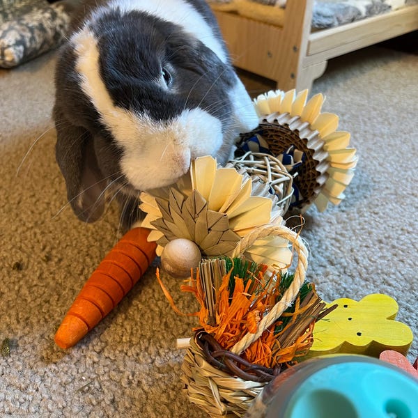 Rabbit Chew Toy: Mini Shredder With Vine Ball & Palm Flowers - Etsy