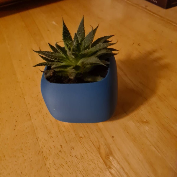 Rounded Cube Pot, Planter, Pot With Feet, Coloured Pot, Indoor Plant ...