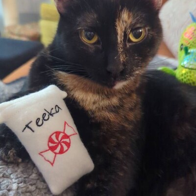 Mitten CAT Toy, Custom Personalized Cat Toy Handmade Cat Kitty Cat Gift ...