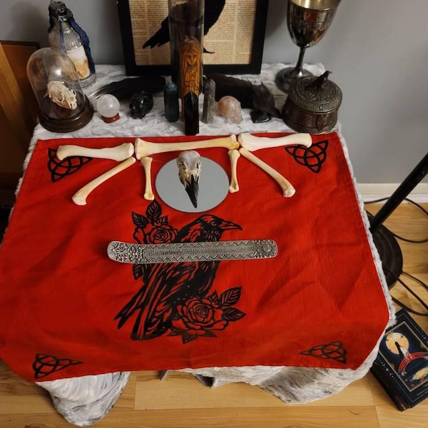 Crow Skull Real Natural Corvus Carone Raven Corvid Taxidermy Gothic ...