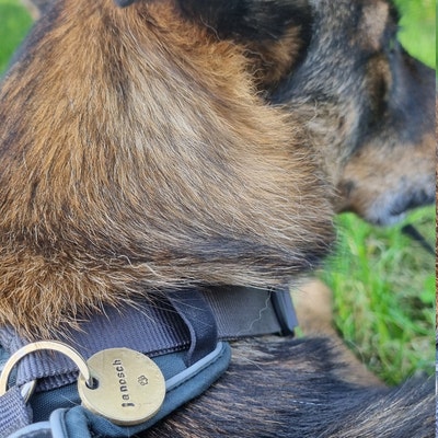 Gold Dog Tag, Stamp Front & Back, Brass Dog Tag, Circle Dog Tag, - Etsy