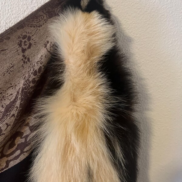Taxidermy, a Pair, of X - X Mating Stoat or Long-tailed Weasels ...