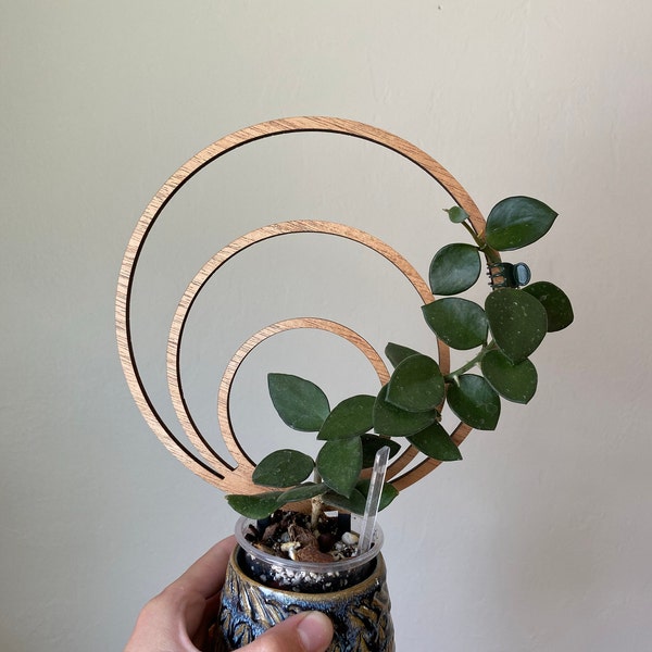 Triple Hoop Houseplant Trellis (2 Sizes) | Wooden Round, Endless Circle ...