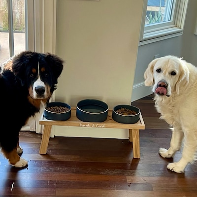 Modern Elevated Dog Bowl Stand Dog Bowl Platform Stand Raised Elevated ...