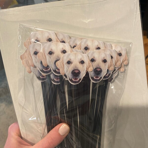 Custom Graduation Face Drink Stirrers, Graduation Party Decor, 2025 ...