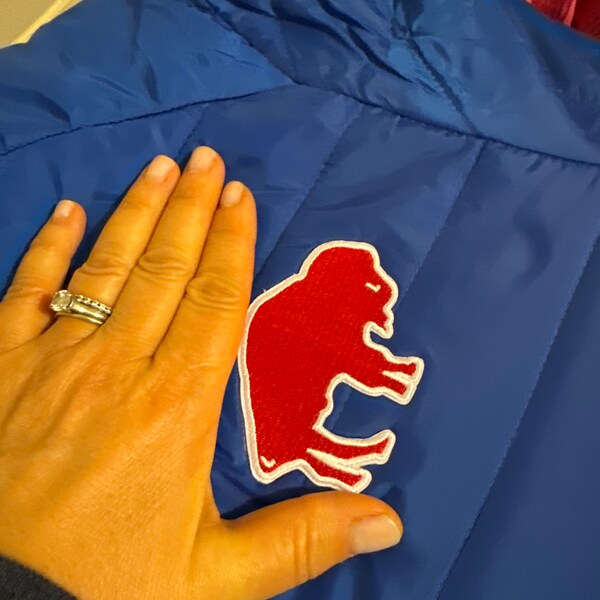 Large Vietnam War SNOOPY Special Forces Green Berets Over & Back 100 ...