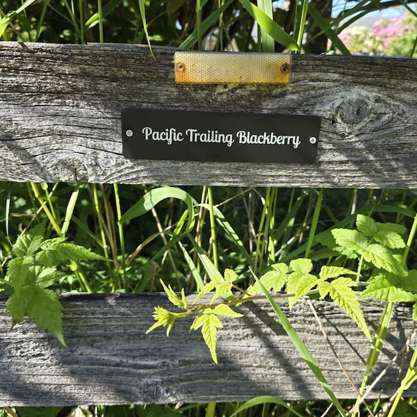 Custom Outdoor Metal Plaque | Engraved With Your Text | Available in ...