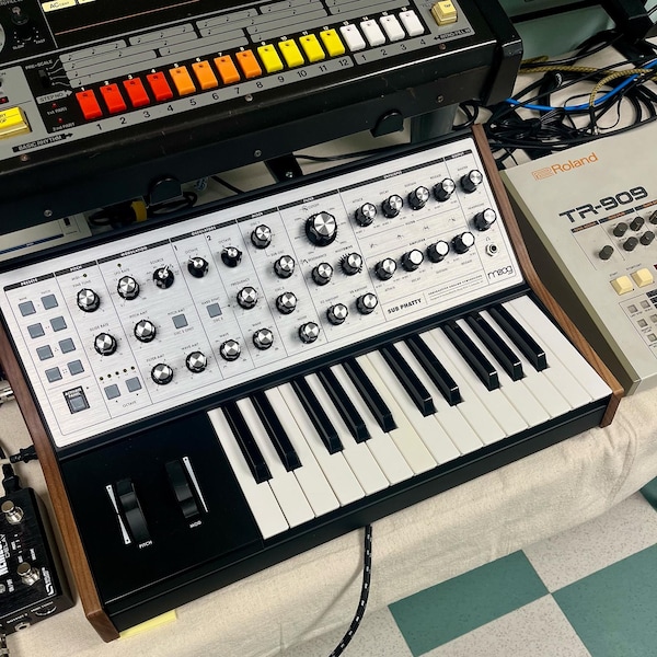 Moog Mount in Walnut for 5 Synthesizer Modules - Perfect for DFAM ...